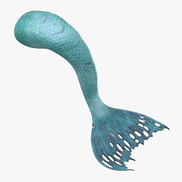 3D model mermaid tail 01 laying - TurboSquid 1243368