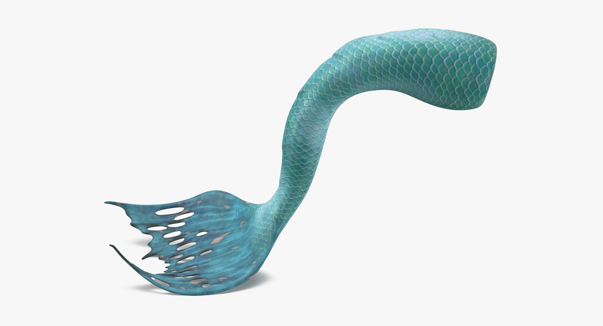 3D Model Mermaid Tail 02 Laying - TurboSquid 1239606