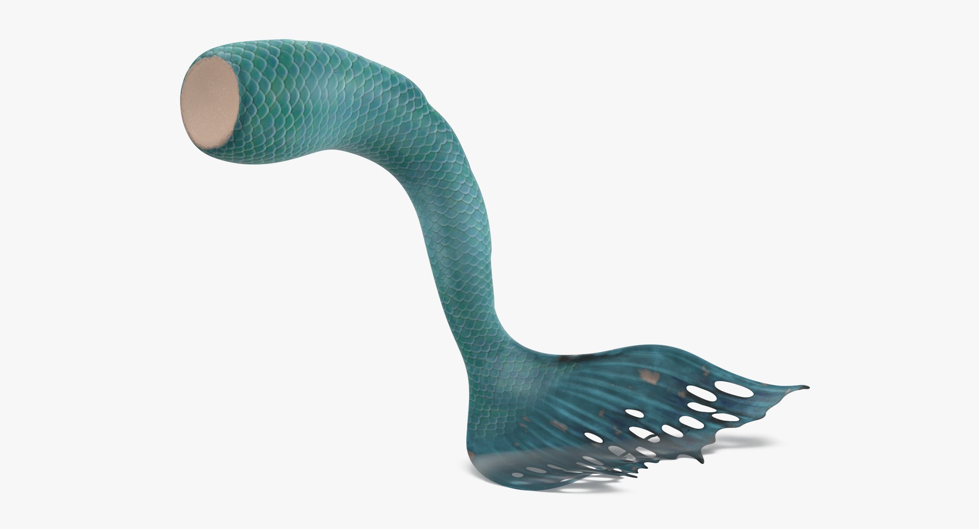 3D Model Mermaid Tail 02 Laying - TurboSquid 1239606