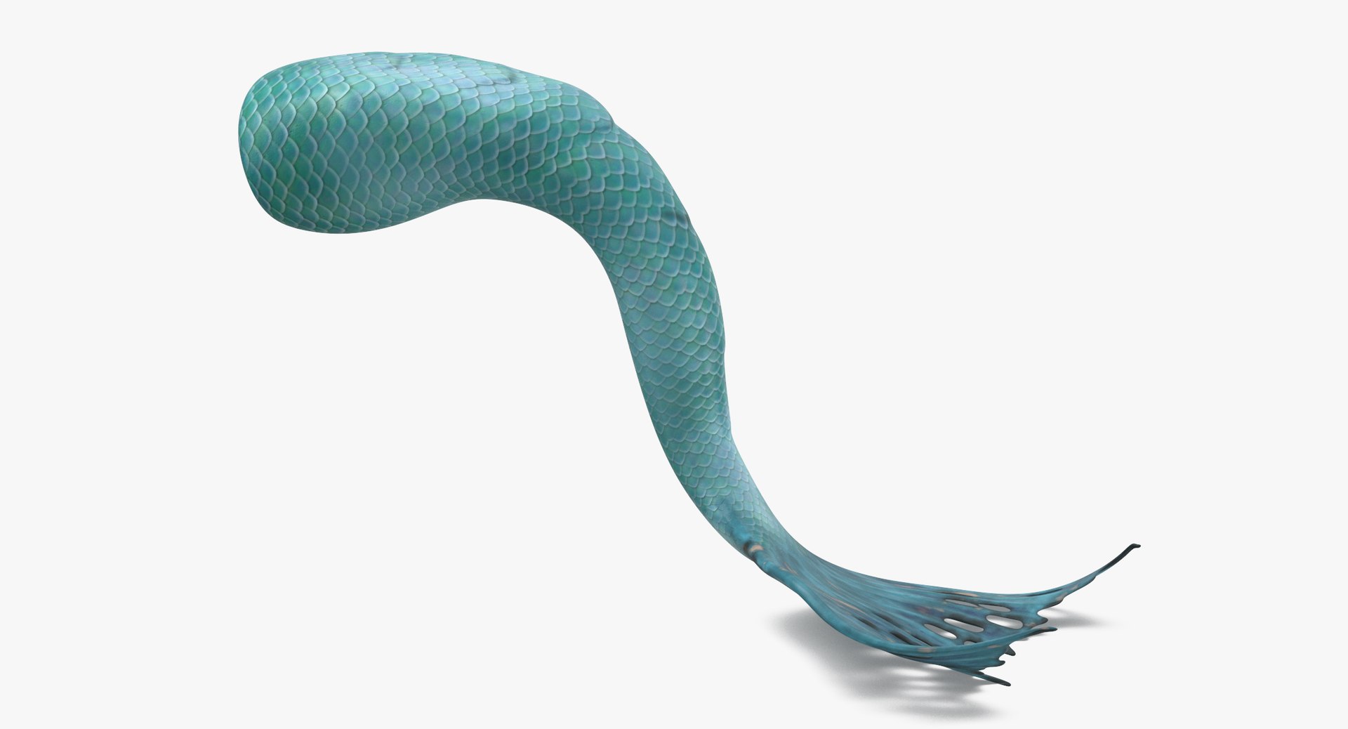 3D Model Mermaid Tail 02 Laying - TurboSquid 1239606