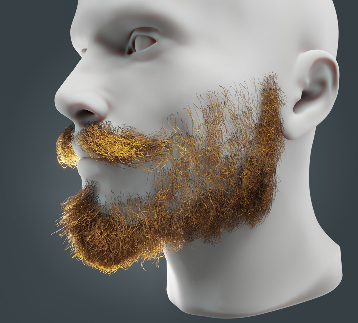 Beard RealTime 13 Version 2 3D Model - TurboSquid 1892373