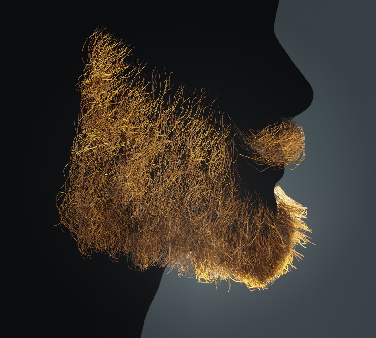 Beard RealTime 13 Version 2 3D Model - TurboSquid 1892373