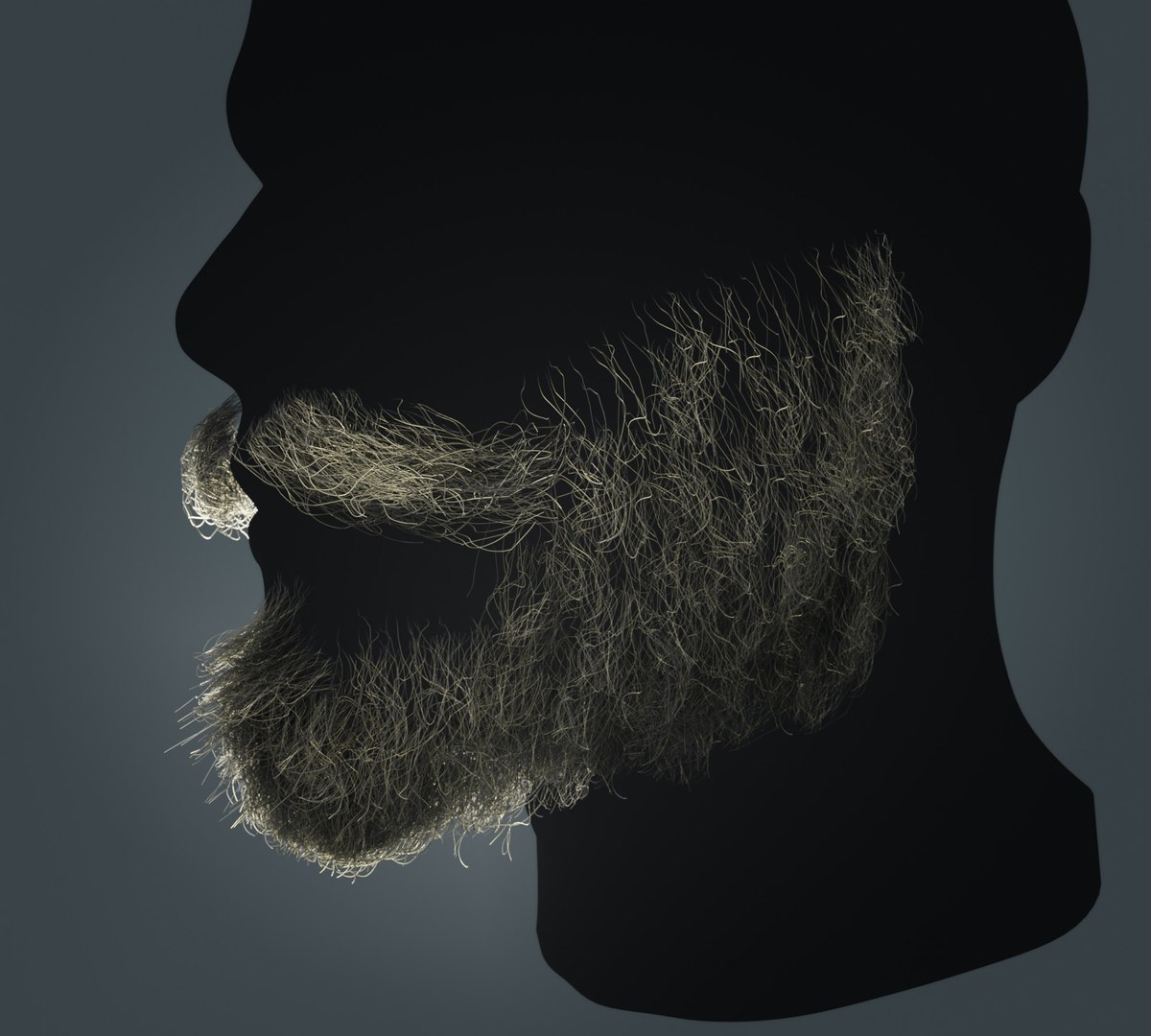 Beard RealTime 13 Version 2 3D Model - TurboSquid 1892373