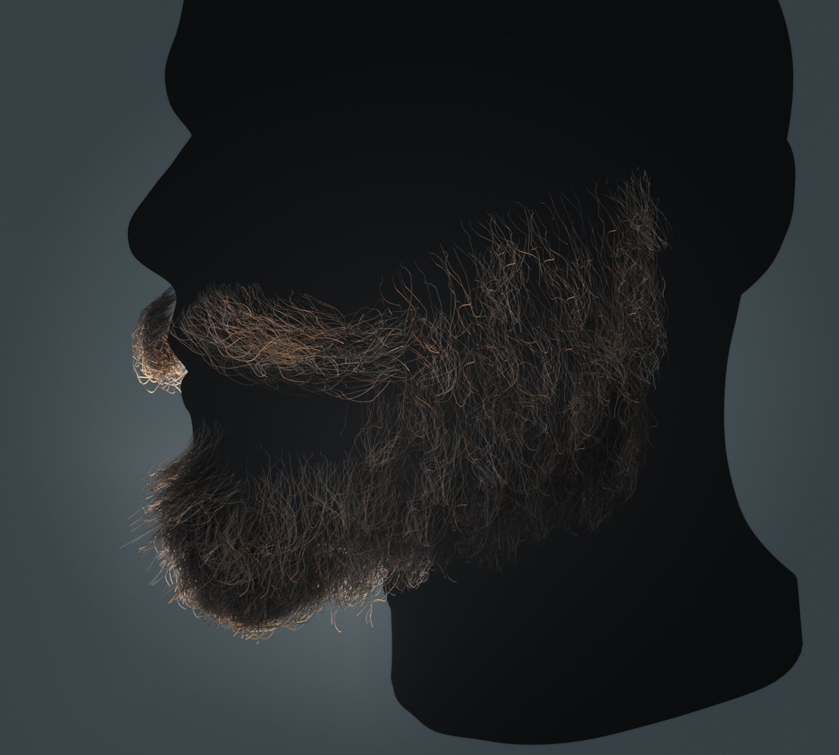 Beard RealTime 13 Version 2 3D Model - TurboSquid 1892373