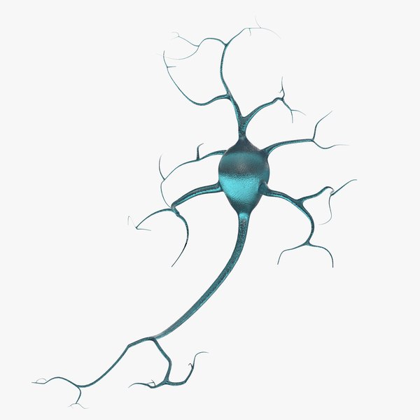 Neurons 3D model - TurboSquid 1238516