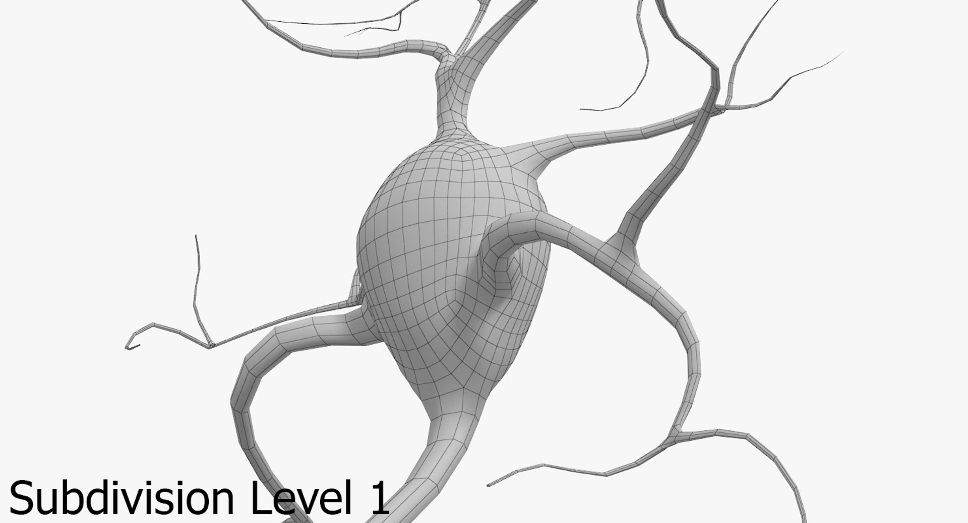 Neurons 3D Model - TurboSquid 1238516