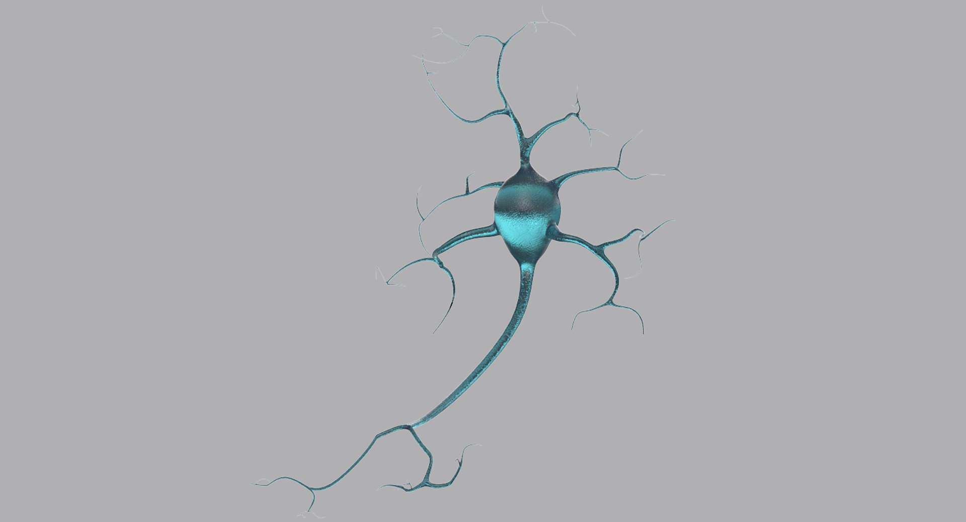 Neurons 3D Model - TurboSquid 1238516