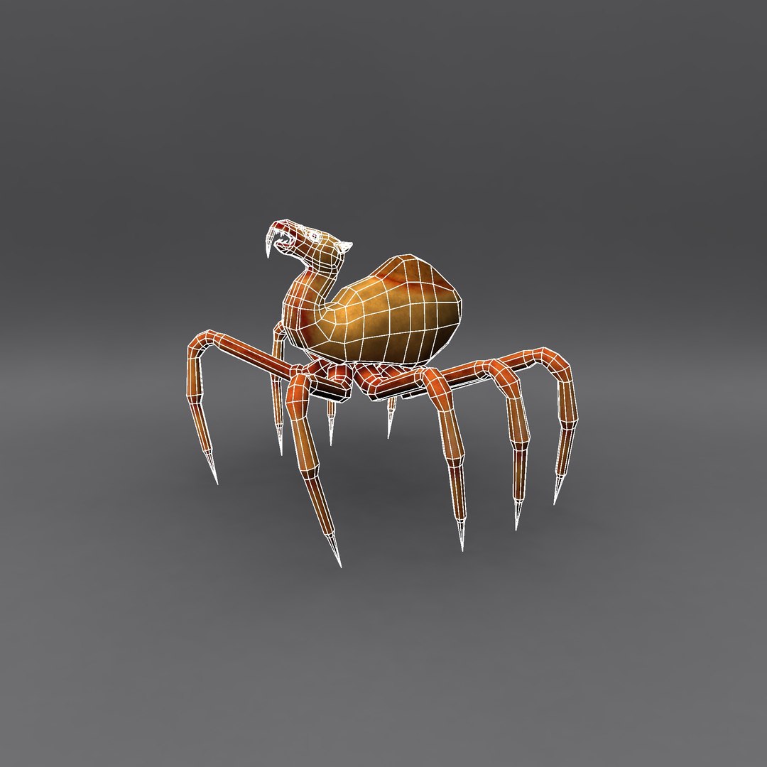 3d Horror Camel Spider Model