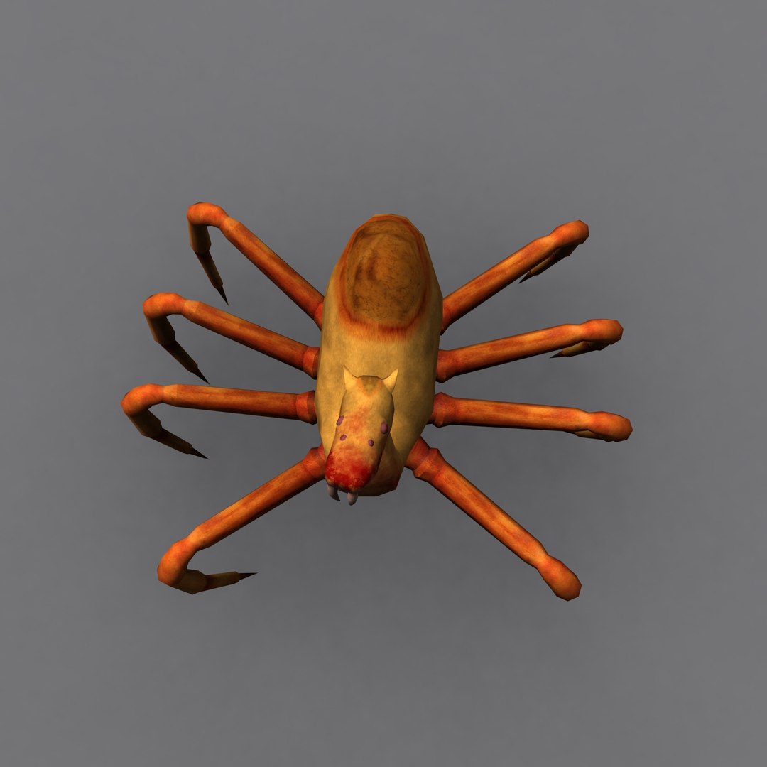 3d Horror Camel Spider Model
