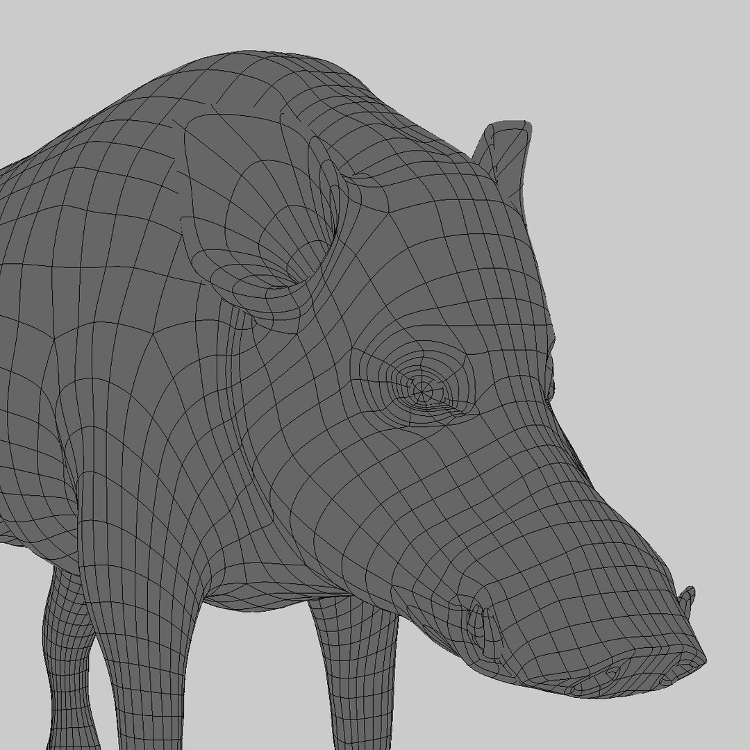 Wild Boar Fur 3d Model