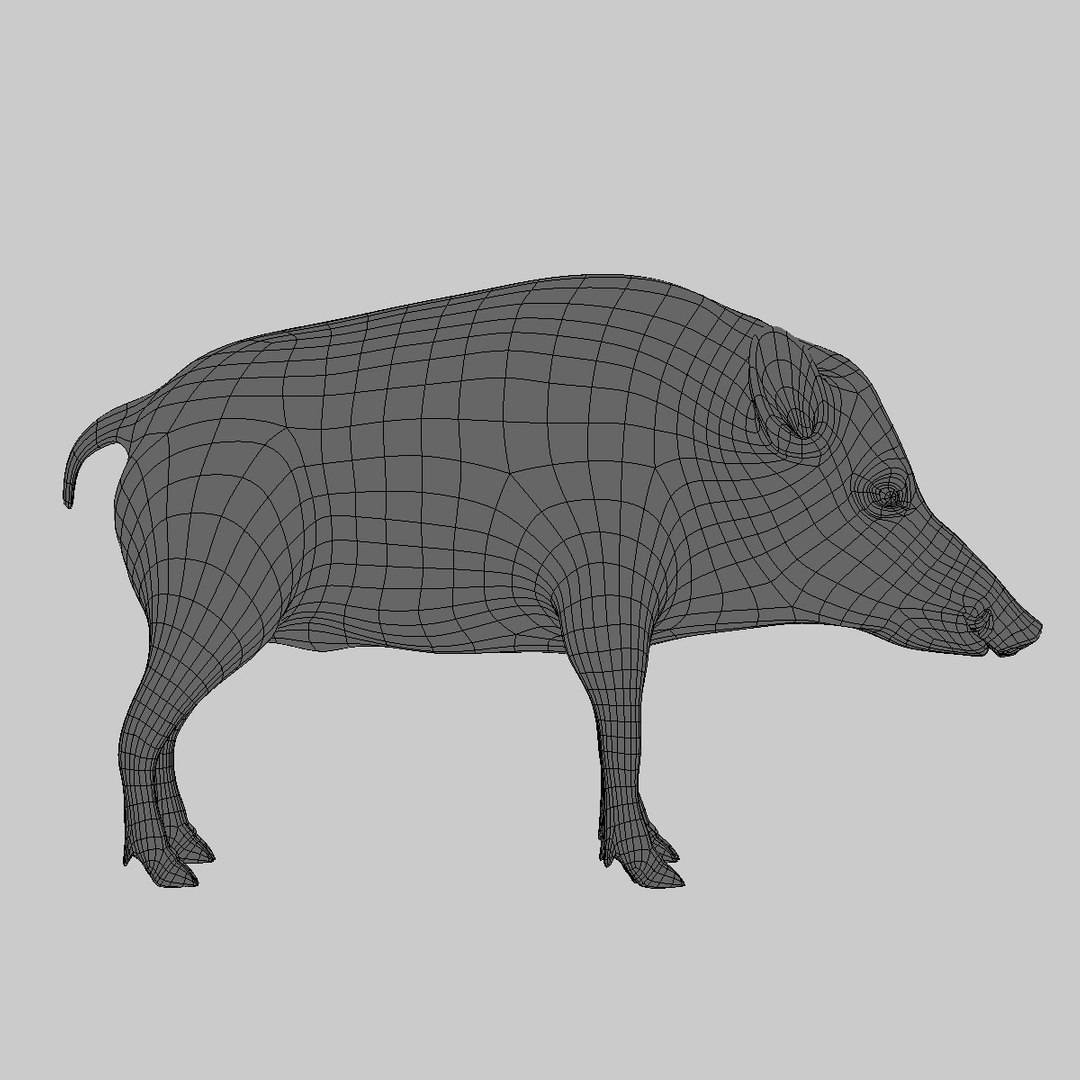 Wild Boar Fur 3d Model