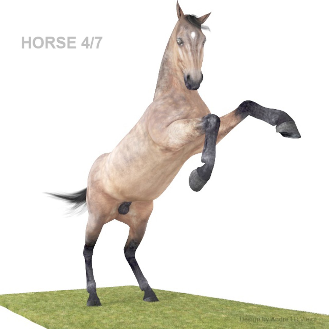 Realistic Horse 04 3d Model