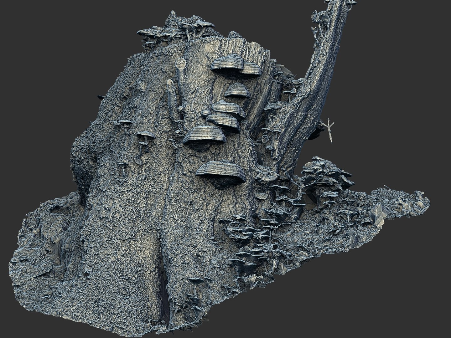 3D Forest Asset Hd - TurboSquid 1640991