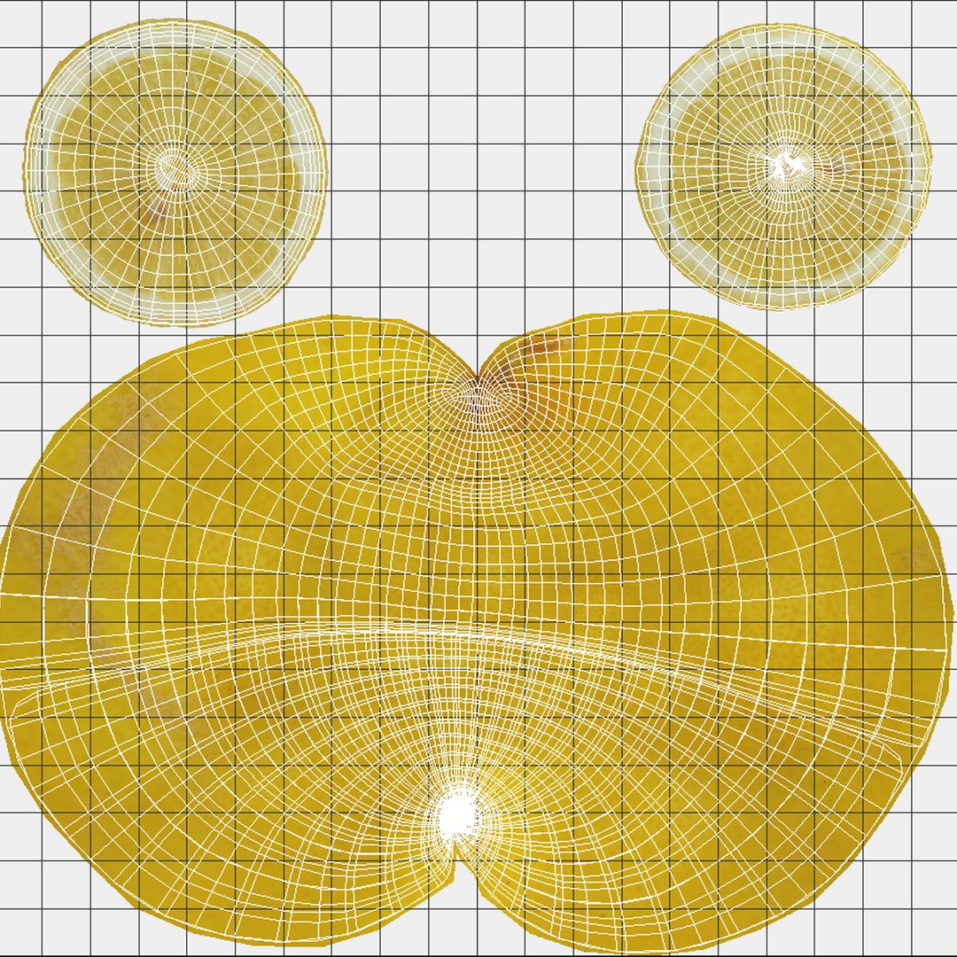 Lemon 3d Dxf