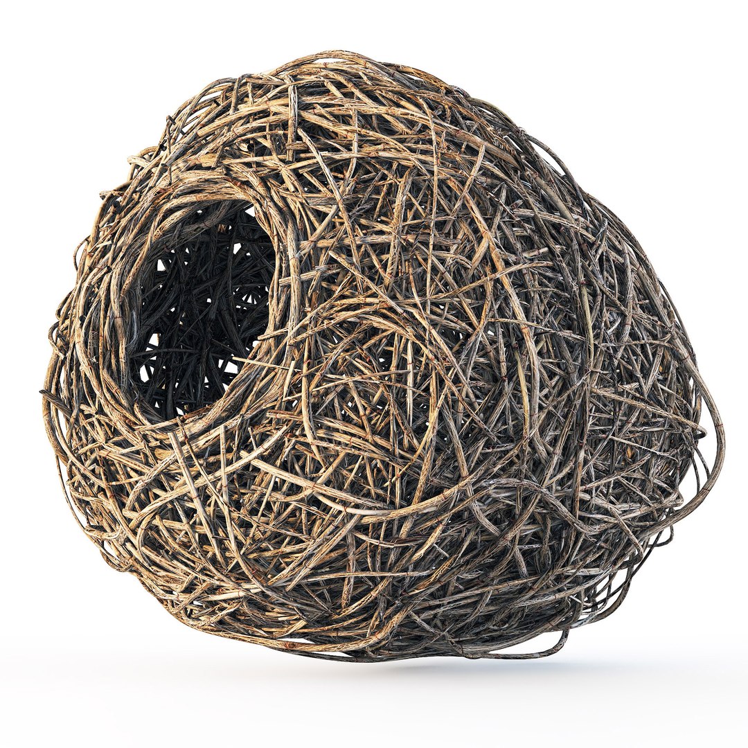 Nest N1 3D Model - TurboSquid 2159896