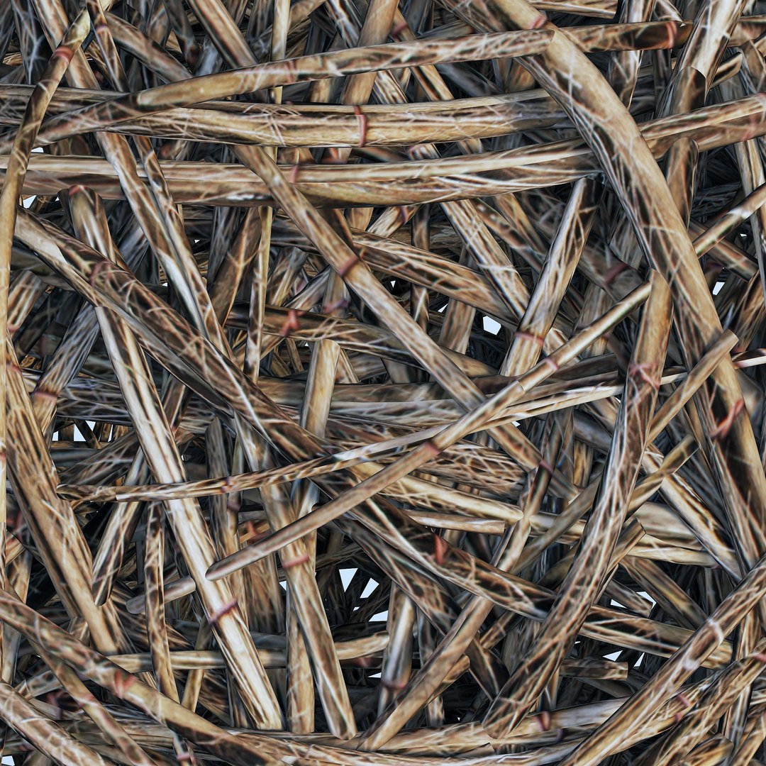 Nest N1 3D Model - TurboSquid 2159896