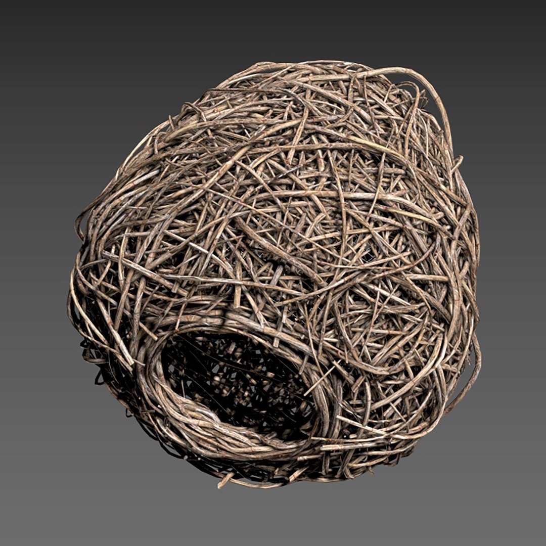 Nest N1 3D Model - TurboSquid 2159896