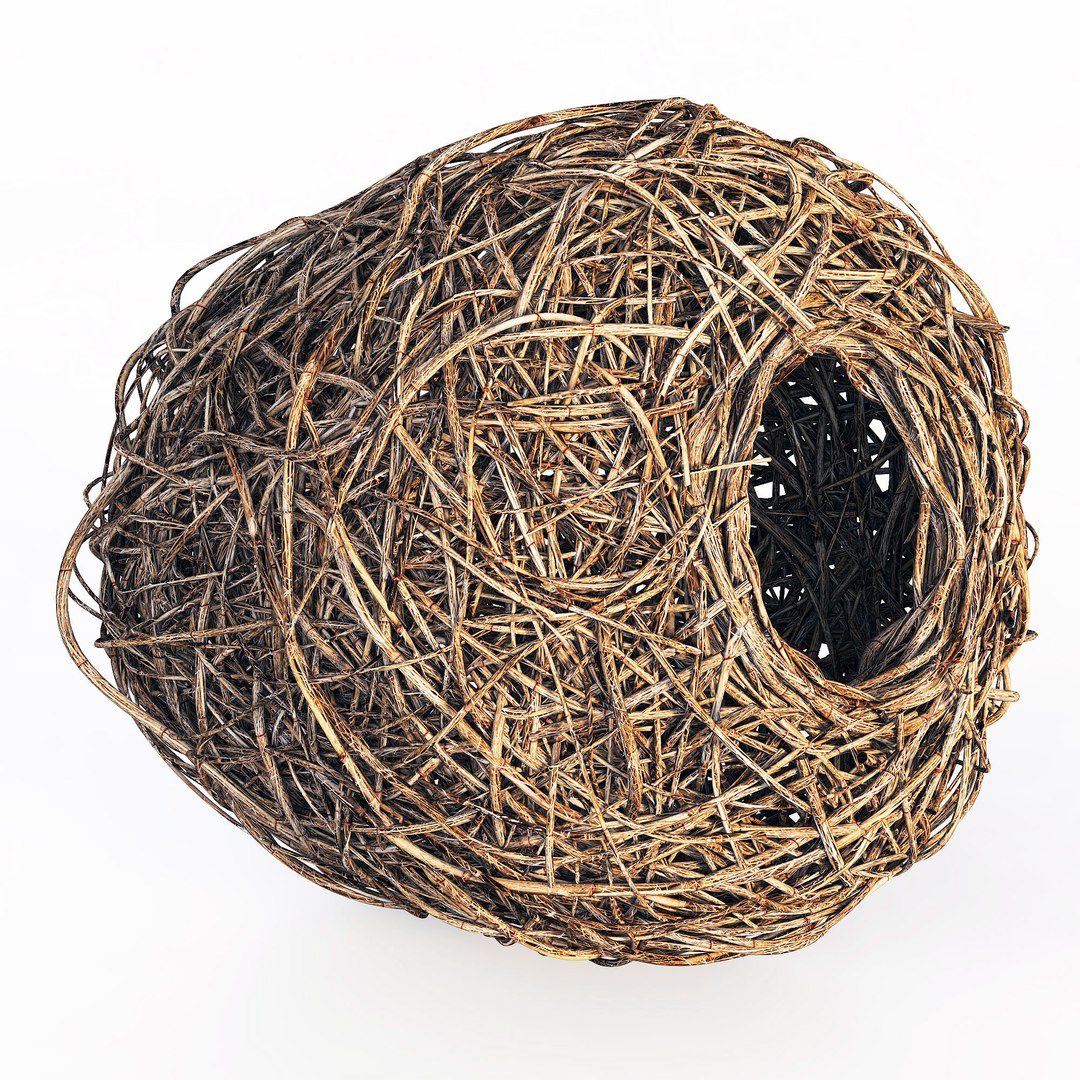 Nest N1 3D Model - TurboSquid 2159896