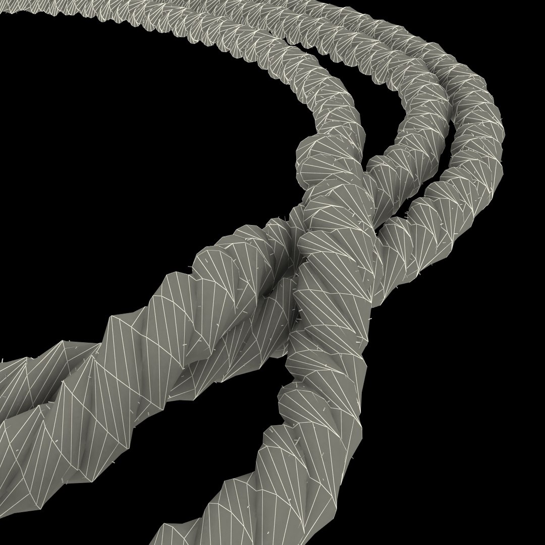 3d Rope 4 Model