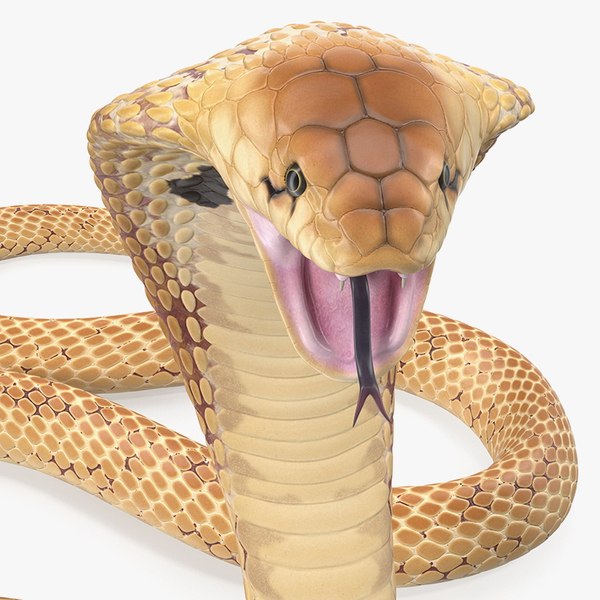Cobra 3D Models for Download | TurboSquid