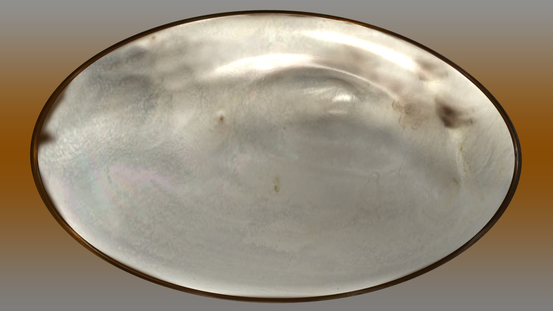Unio Genus Freshwater Obj