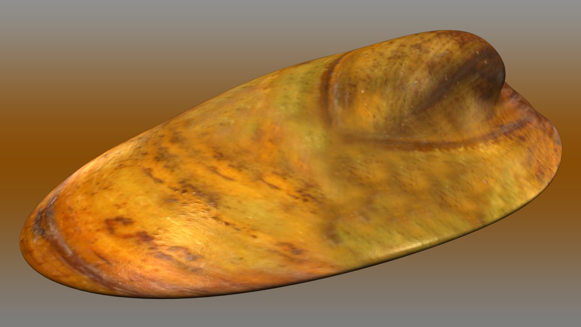 Unio Genus Freshwater Obj