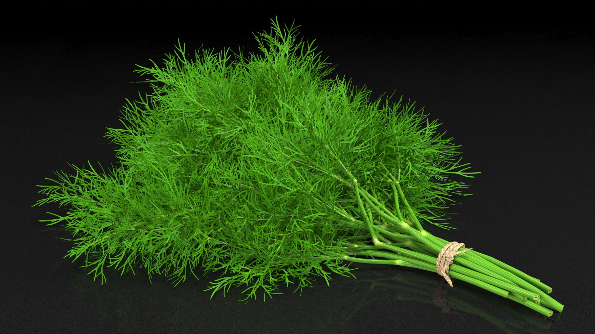 Dill Bunch With Rope 3D Model - TurboSquid 1894136