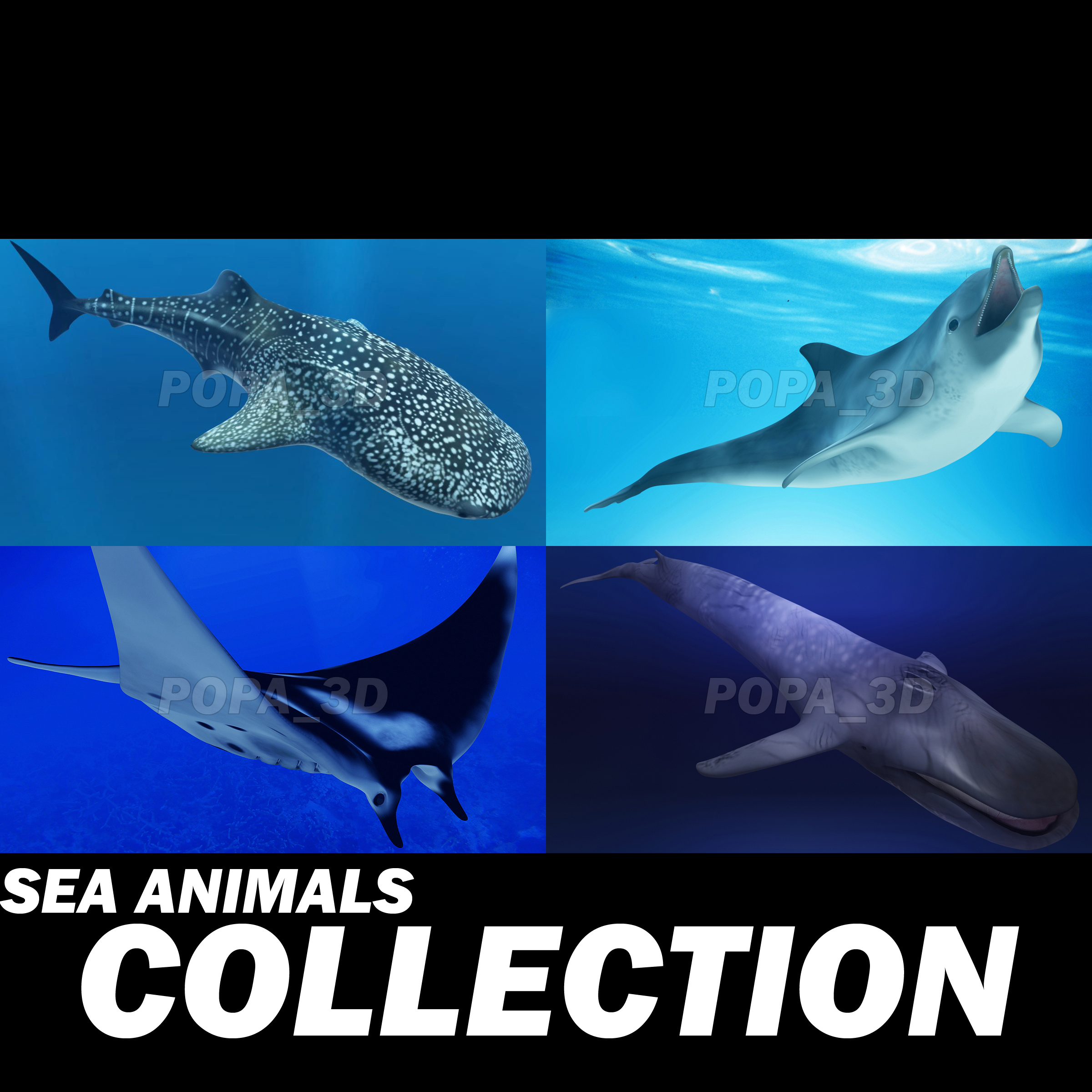 shark sea animals 3d max