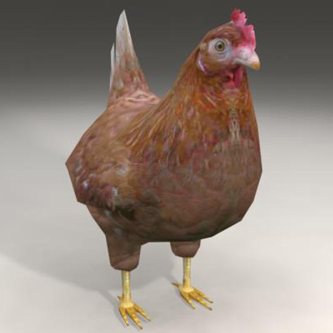 3d Chicken
