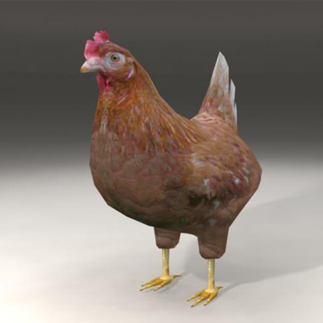 3d Chicken