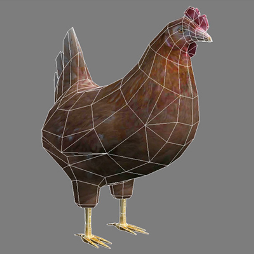 3d Chicken
