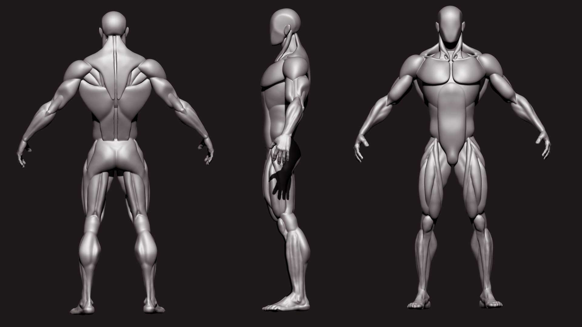 Stylized Human Body 3D Model - TurboSquid 2305490