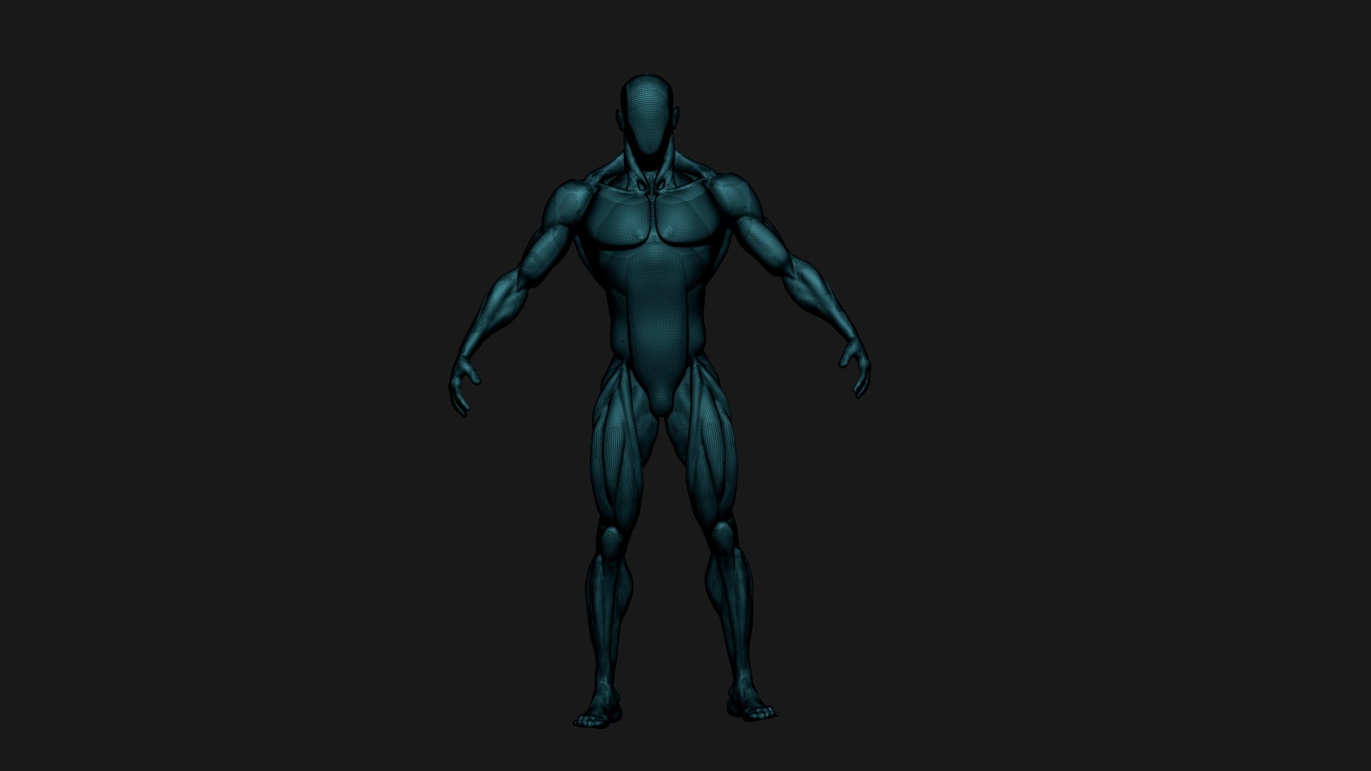 Stylized Human Body 3D Model - TurboSquid 2305490