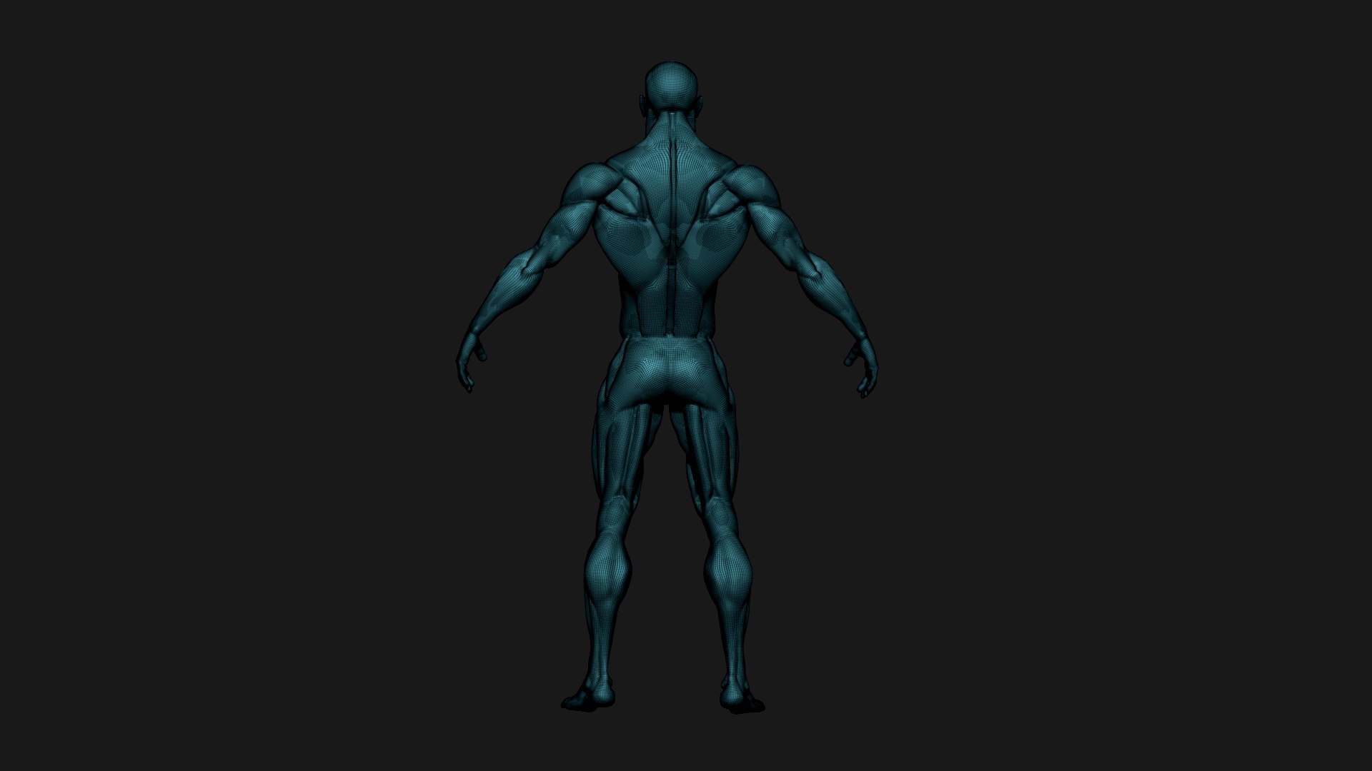 Stylized Human Body 3D Model - TurboSquid 2305490