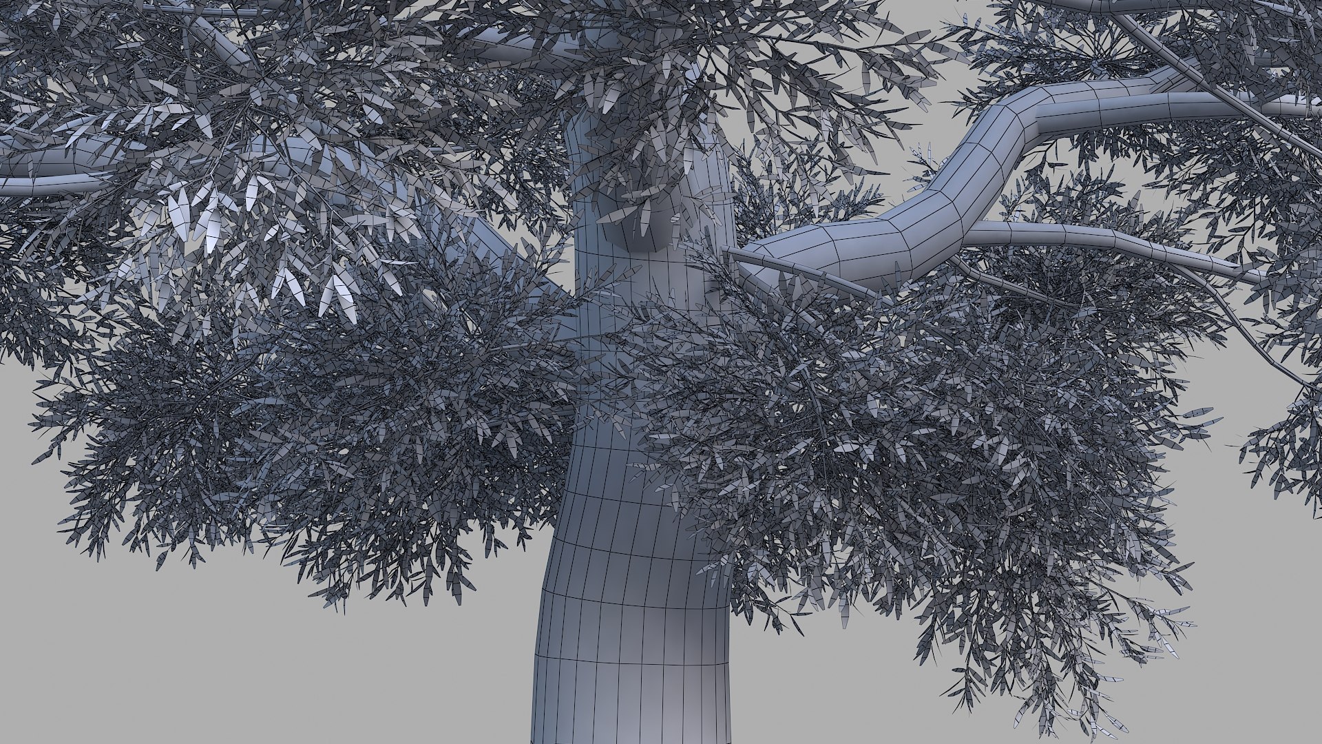 3D Willow Tree 01 Model - TurboSquid 1948219