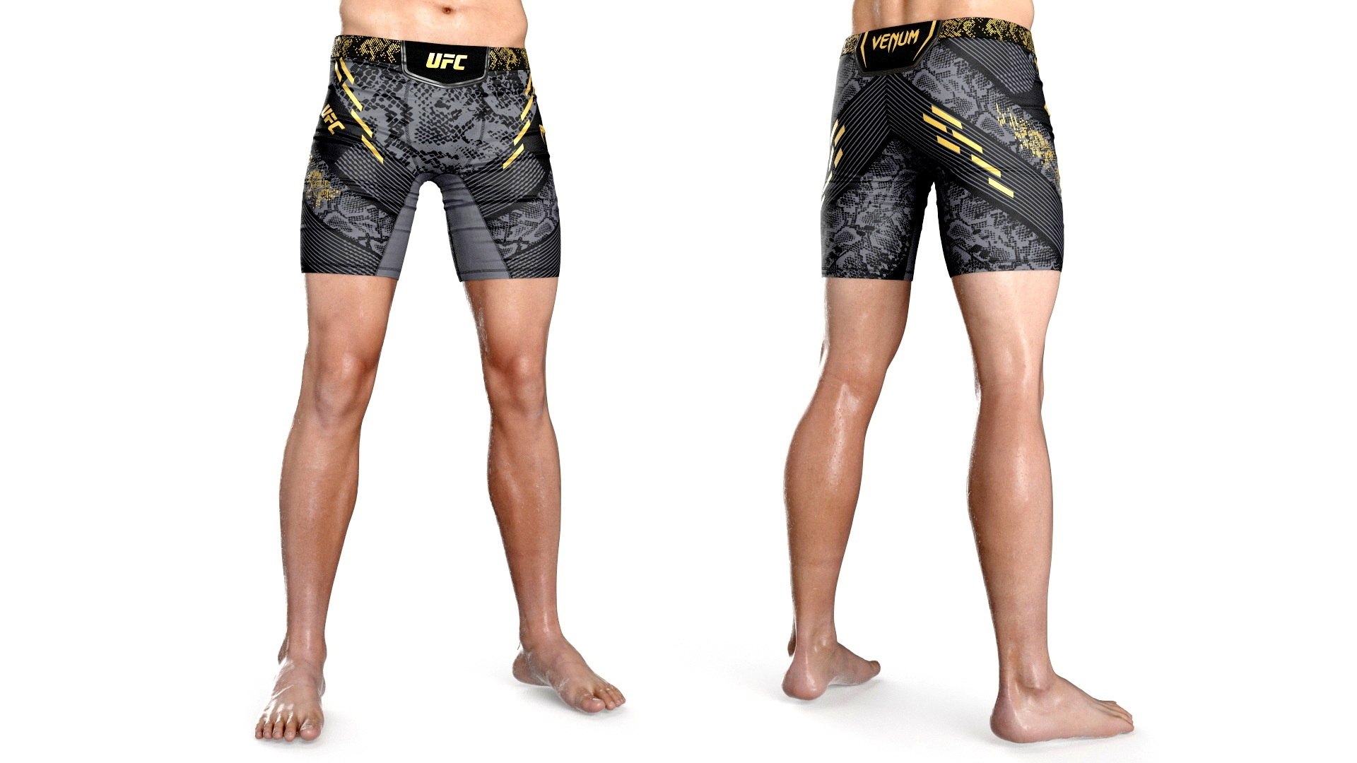 Fighter UFC MMA In Athletic Pose Sweaty Fur 3D Model - TurboSquid 2333999