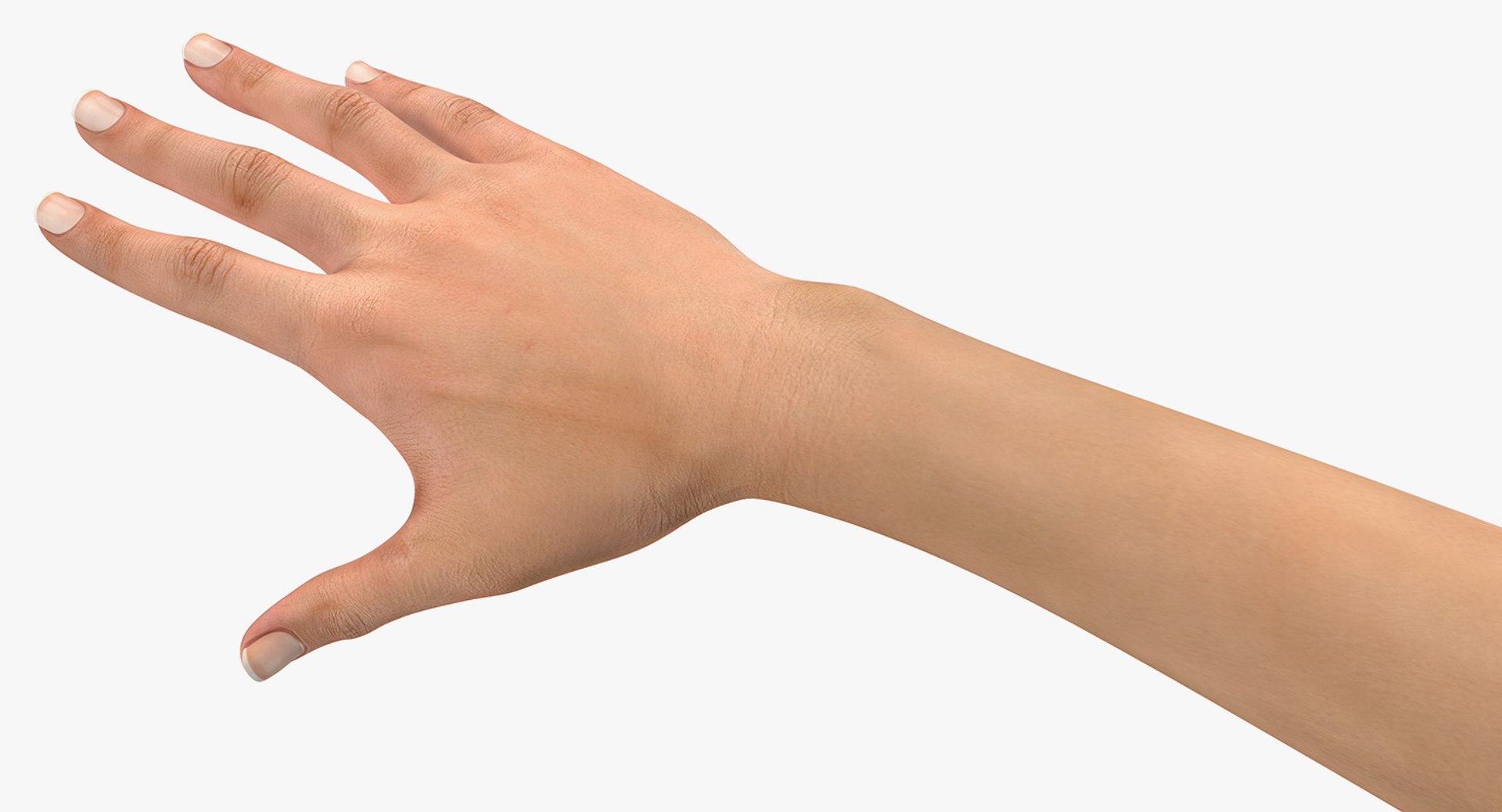 3D Female Arm Short Nails Model - TurboSquid 1396502