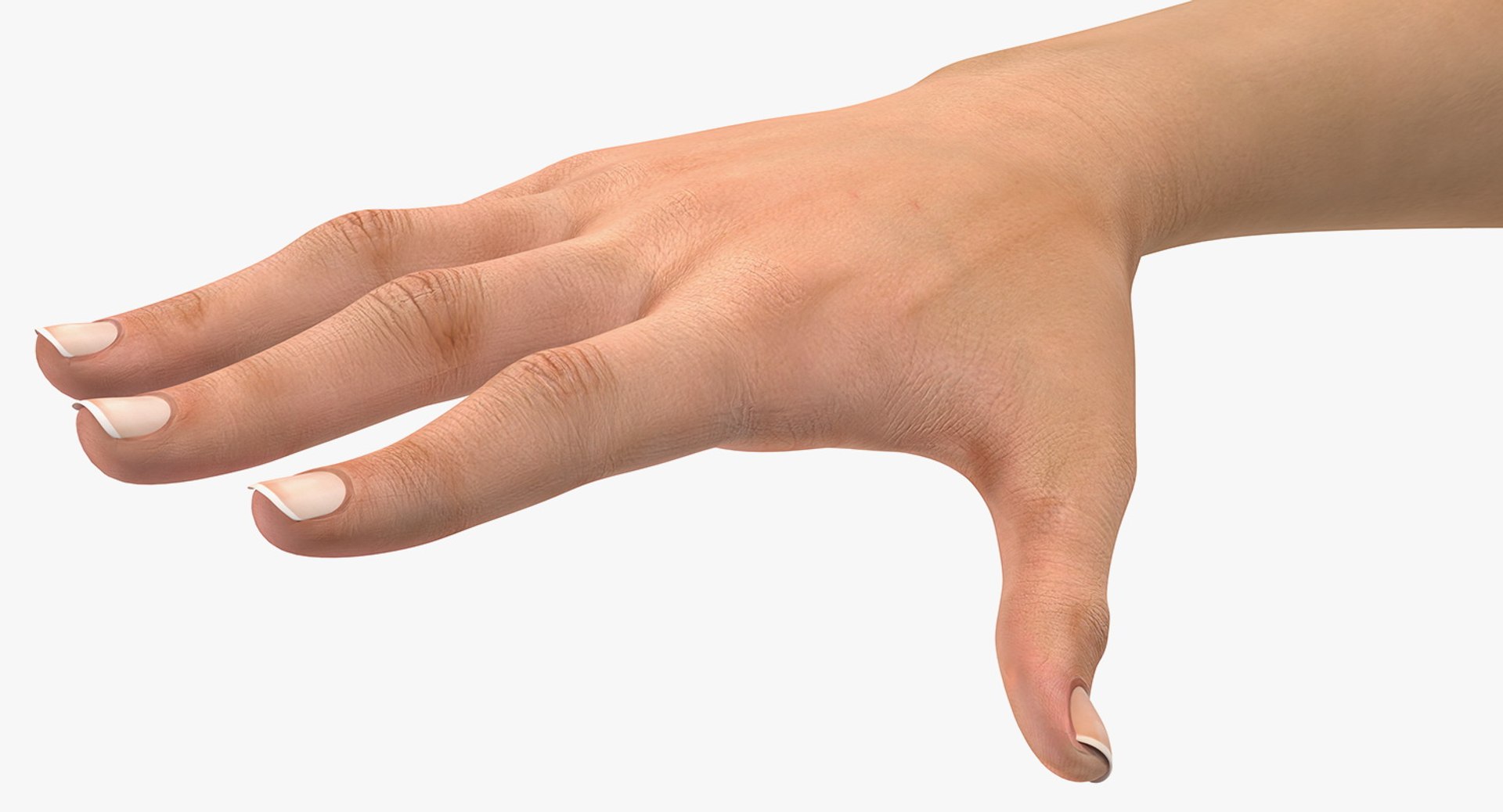 3D Female Arm Short Nails Model - TurboSquid 1396502