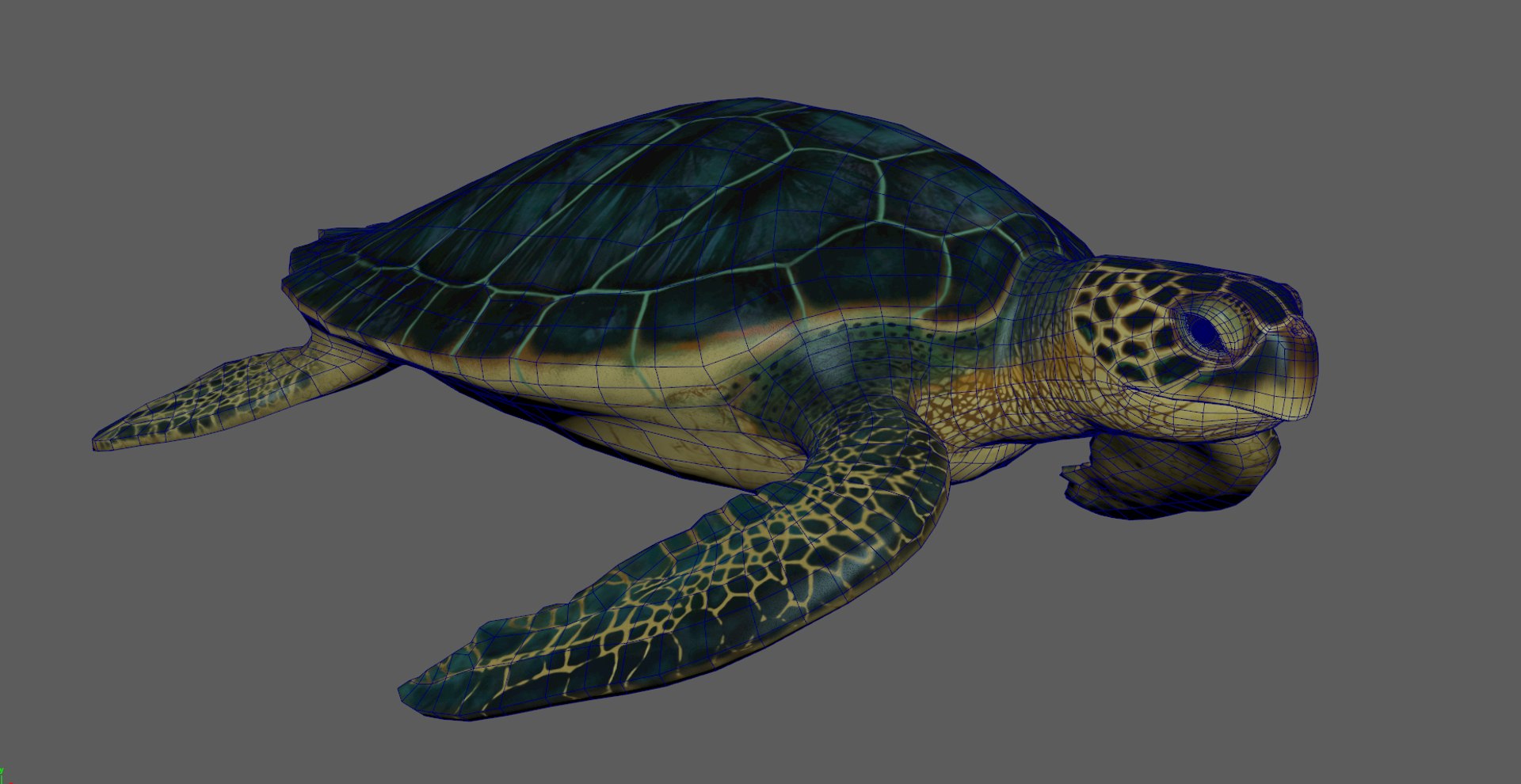 3D Model Photorealistic Green Sea Turtle - TurboSquid 1222841
