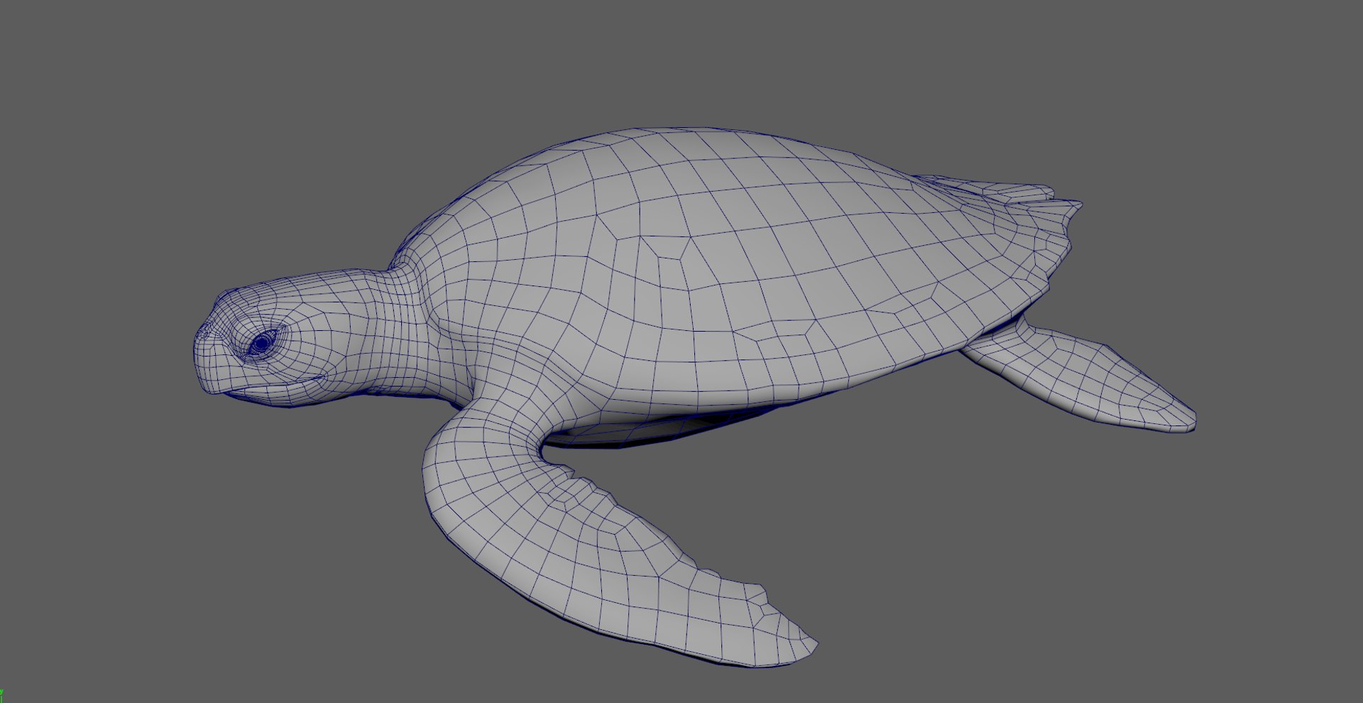 3D model photorealistic green sea turtle - TurboSquid 1222841