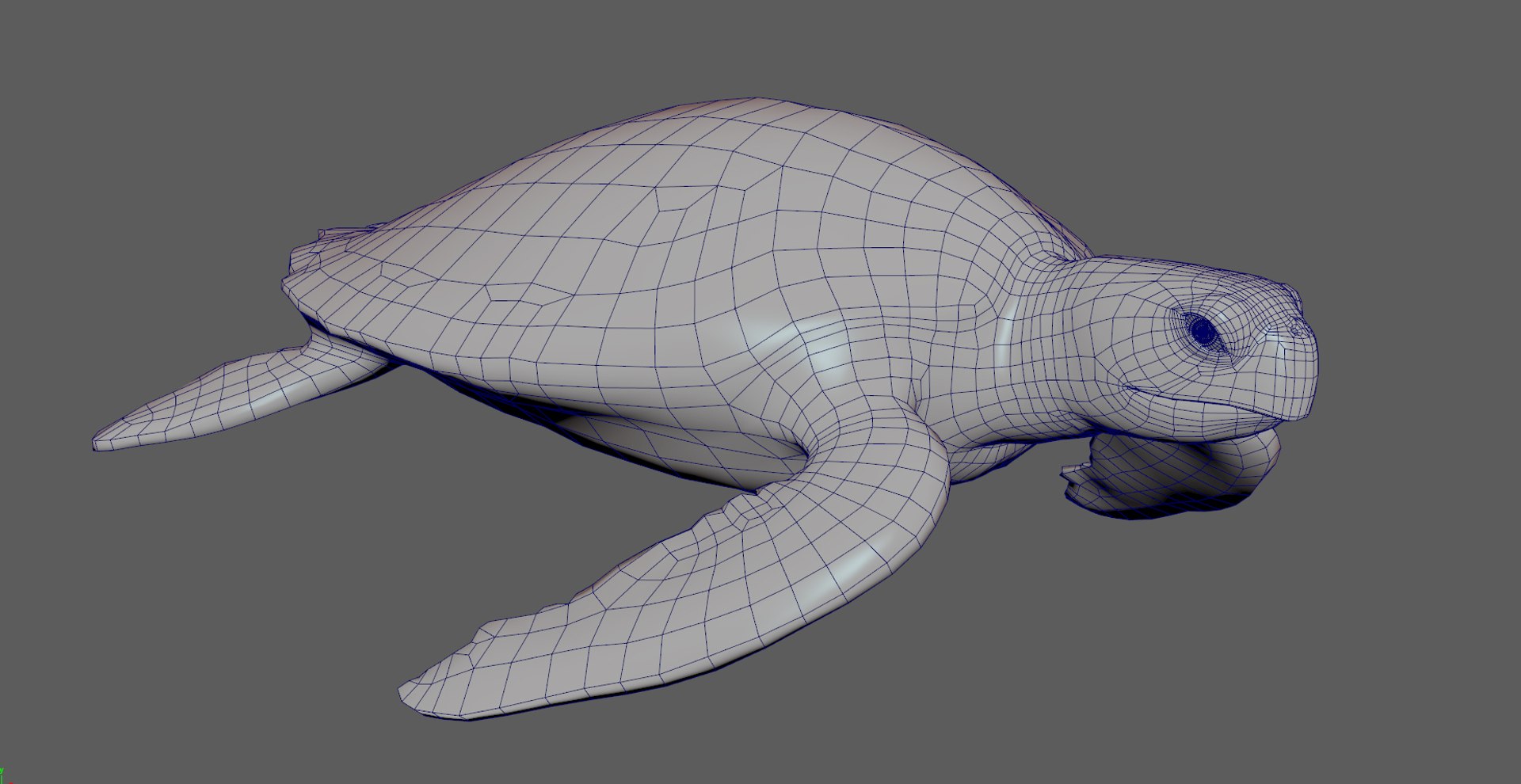 3D Model Photorealistic Green Sea Turtle - TurboSquid 1222841