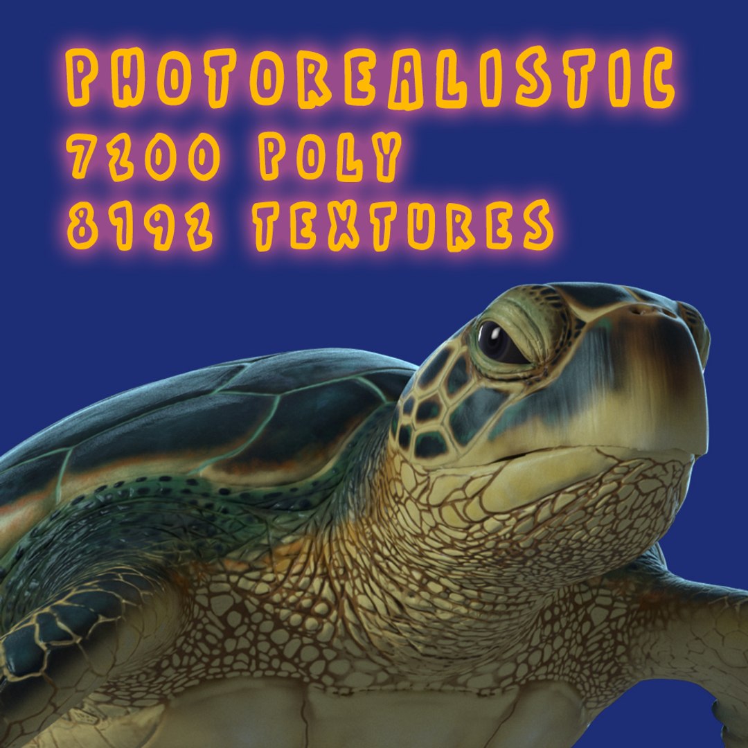 3D model photorealistic green sea turtle - TurboSquid 1222841