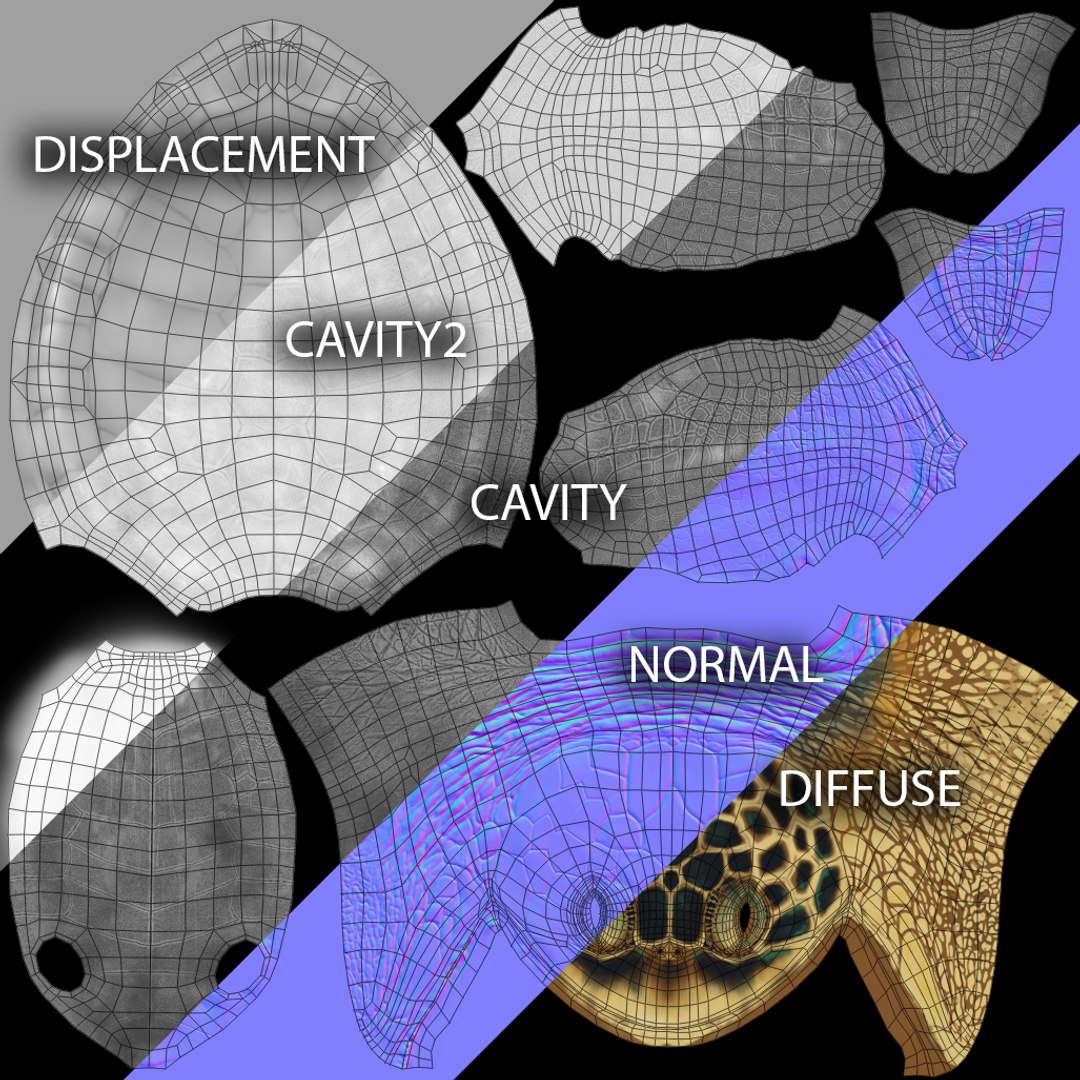 3D model photorealistic green sea turtle - TurboSquid 1222841