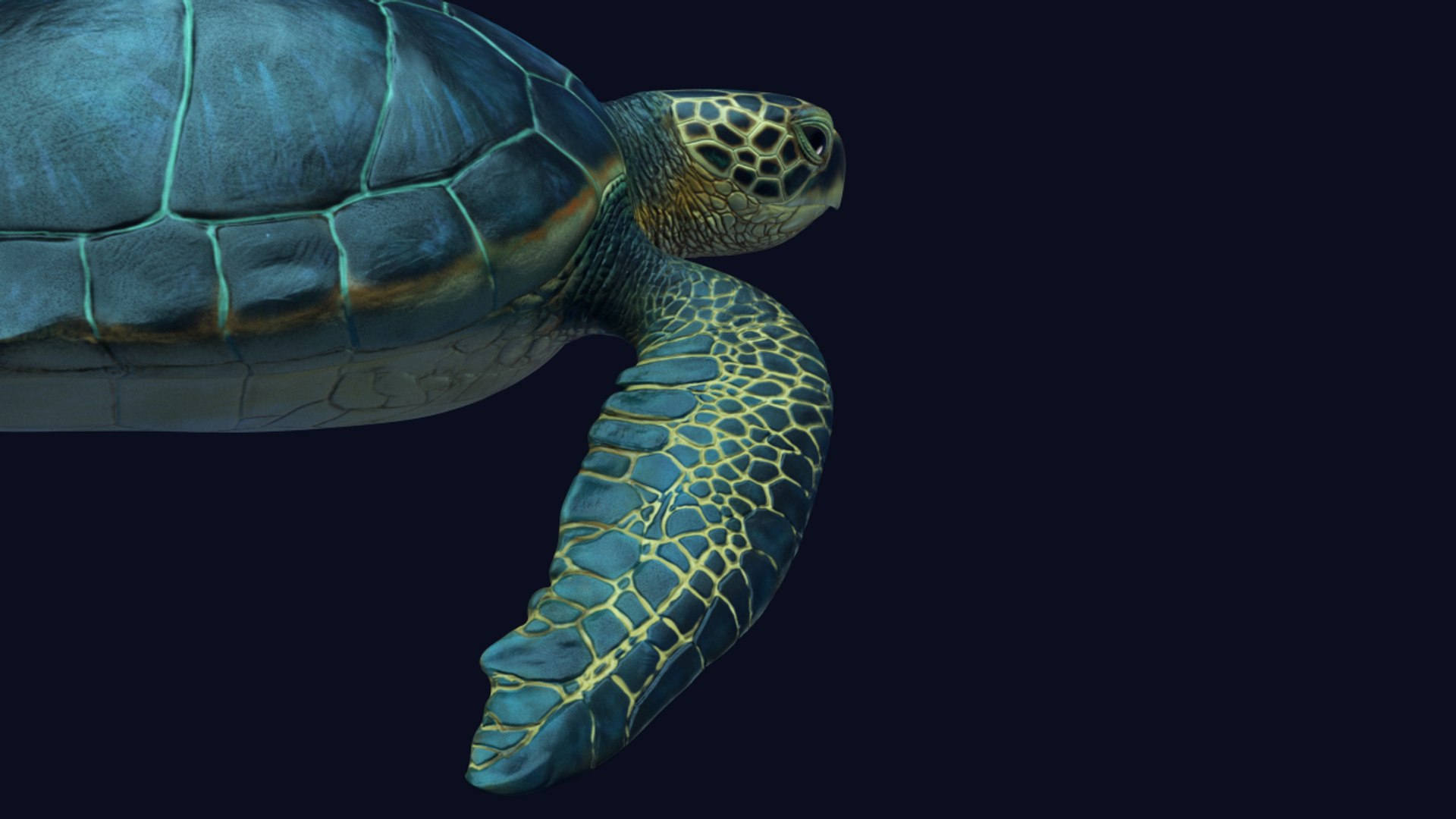 3D model photorealistic green sea turtle - TurboSquid 1222841