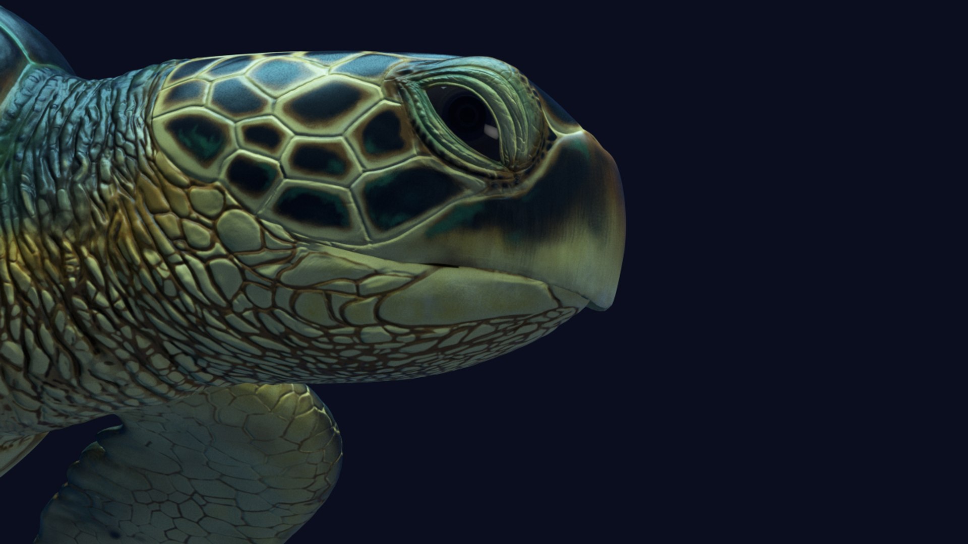 3D model photorealistic green sea turtle - TurboSquid 1222841