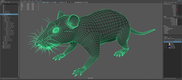 Rat skin model - TurboSquid 1670890