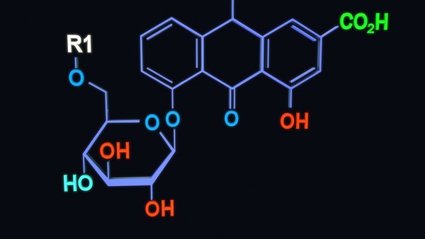 modelo 3d Estructura de mucílago - TurboSquid 1238402