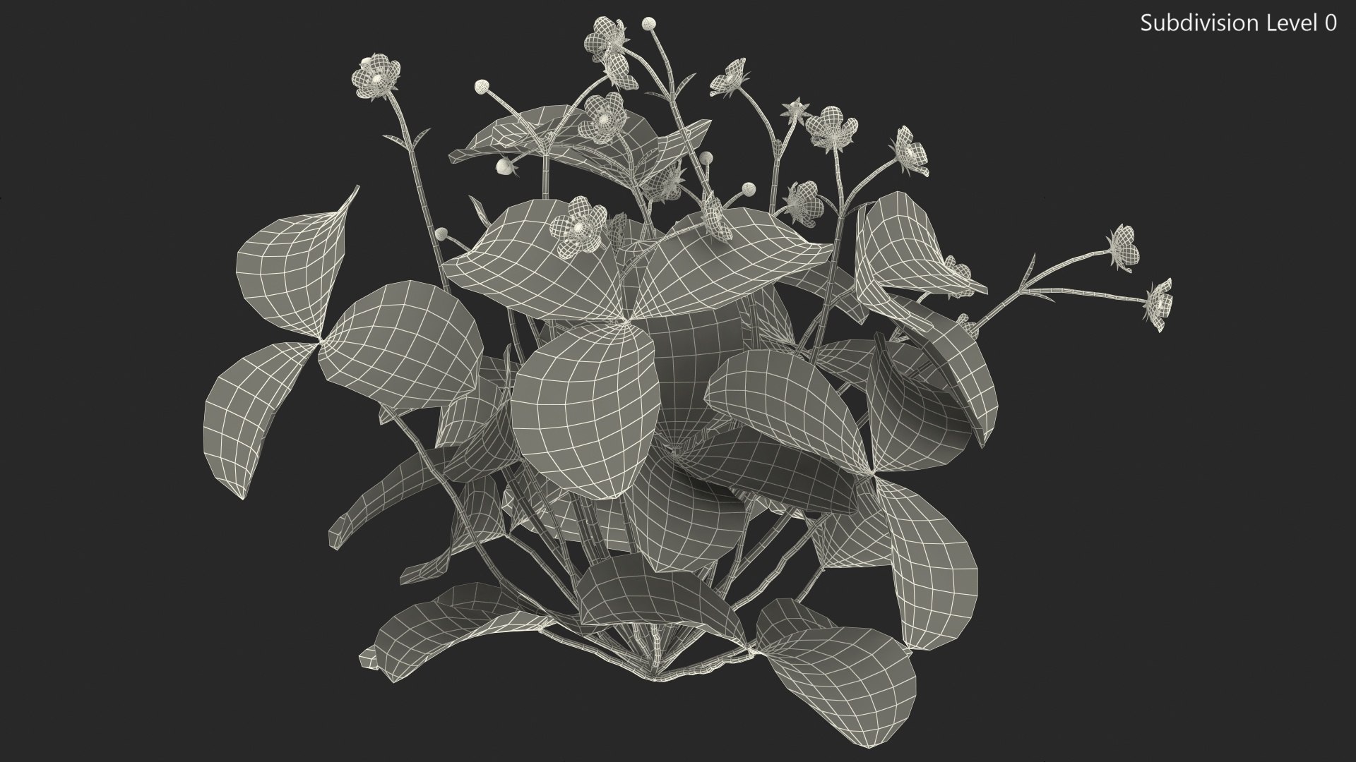 Strawberry plant blooming flowers model - TurboSquid 1624003