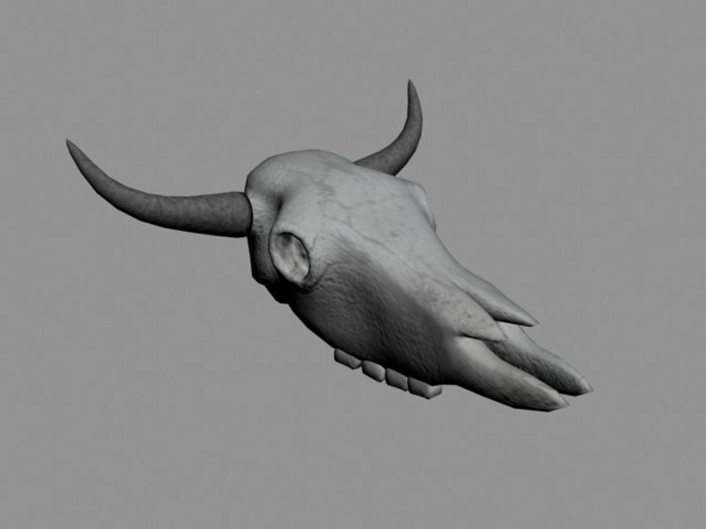Cow Skull 3d 3ds