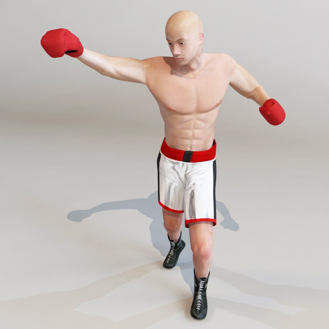 Boxer Rigged Animation 3d Model